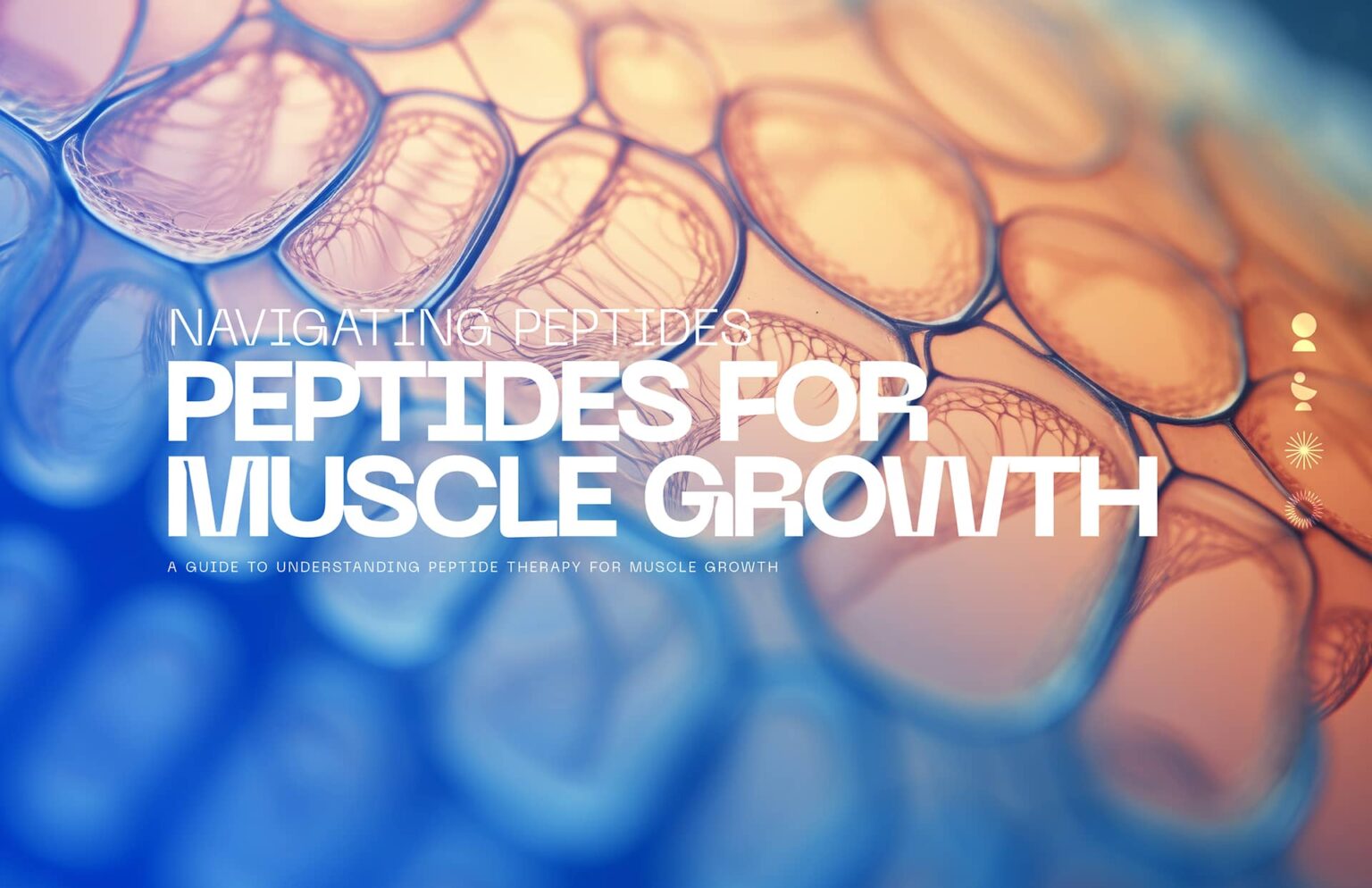 5 Peptides for Muscle Growth: Get Fitter & Leaner | LIVV Natural